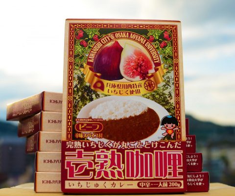 Ichijuku Curry (Fig Curry) | The taste of Hyogo Hokusetsu | ぐるっとおでかけ阪神北 ...